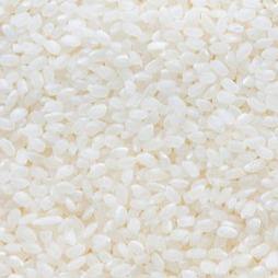 JAPANESE RICE JAPONICA 5KG (REPACK) – Kitchen Convenience: Ingredients ...